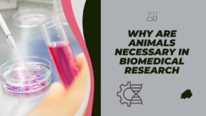Why Are Animals Necessary in Biomedical Research - Historical Importance