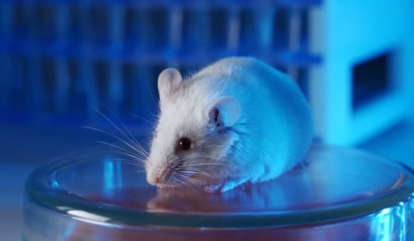 Why Are Animals Necessary in Biomedical Research - Historical Importance